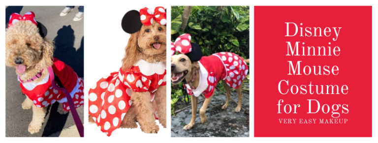 10 Best Disney Dog Costumes for Halloween.