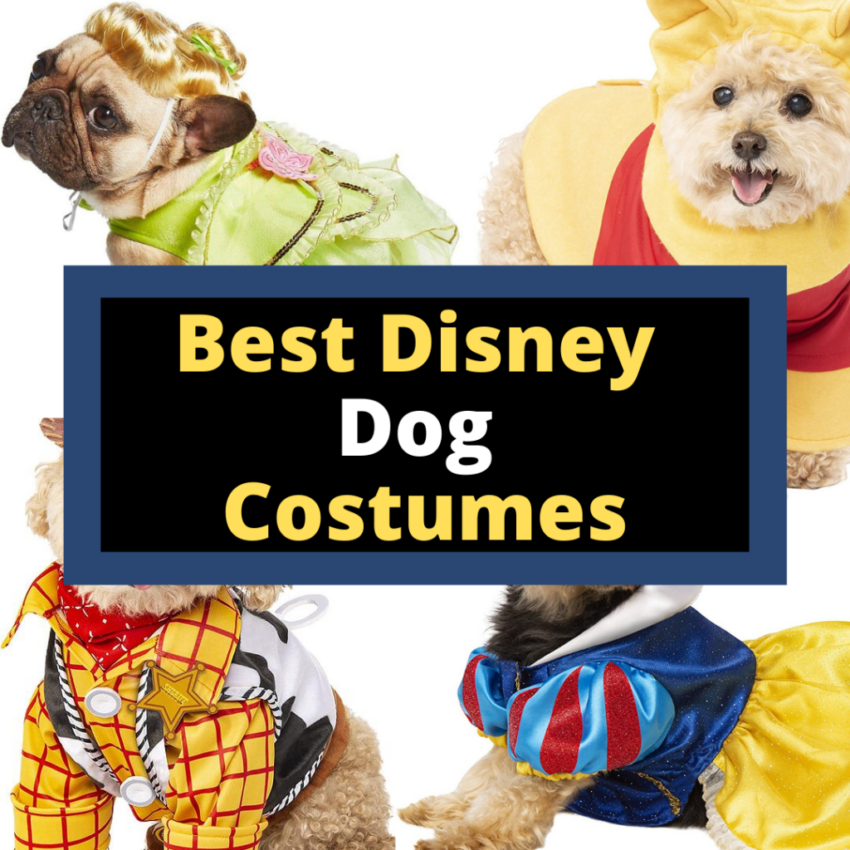 10 Best Disney Dog Costumes for Halloween.