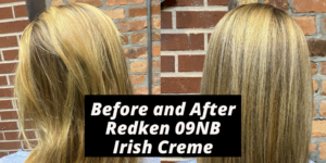 Redken 09NB Irish Creme toner and Redken 09NB results.