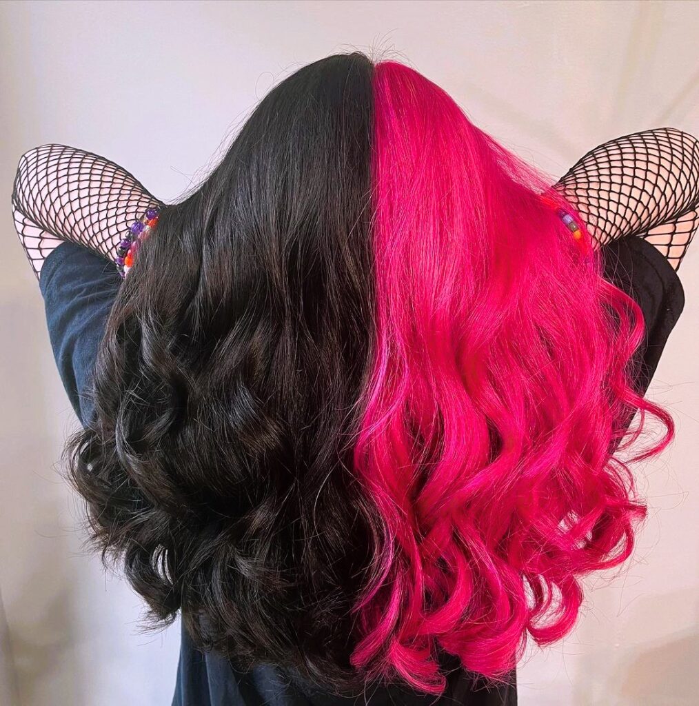 29 Black and Pink Hair Ideas and Pictures.